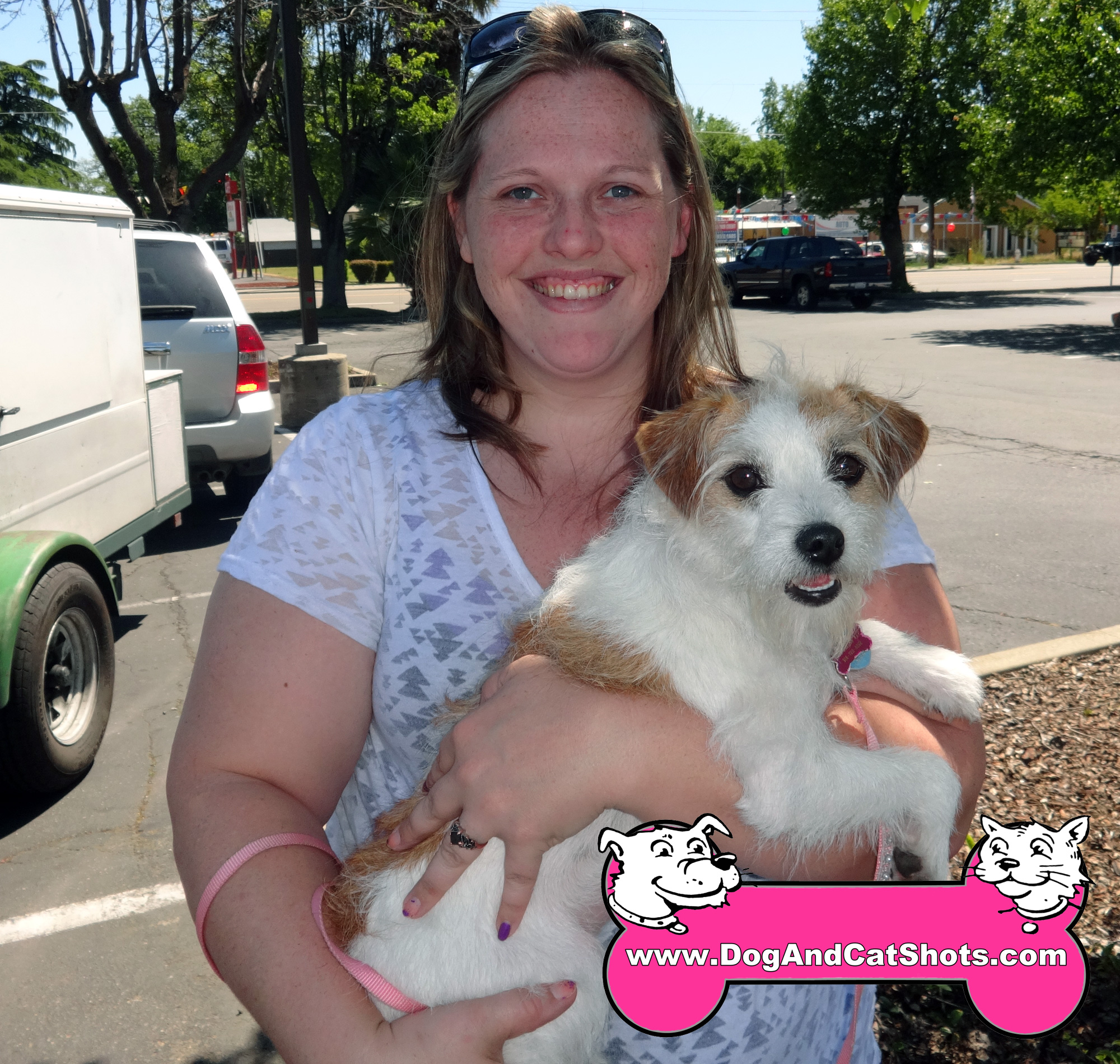 Low Cost Dog and Cat Shots in Northern California Jack Russell Terrier ...