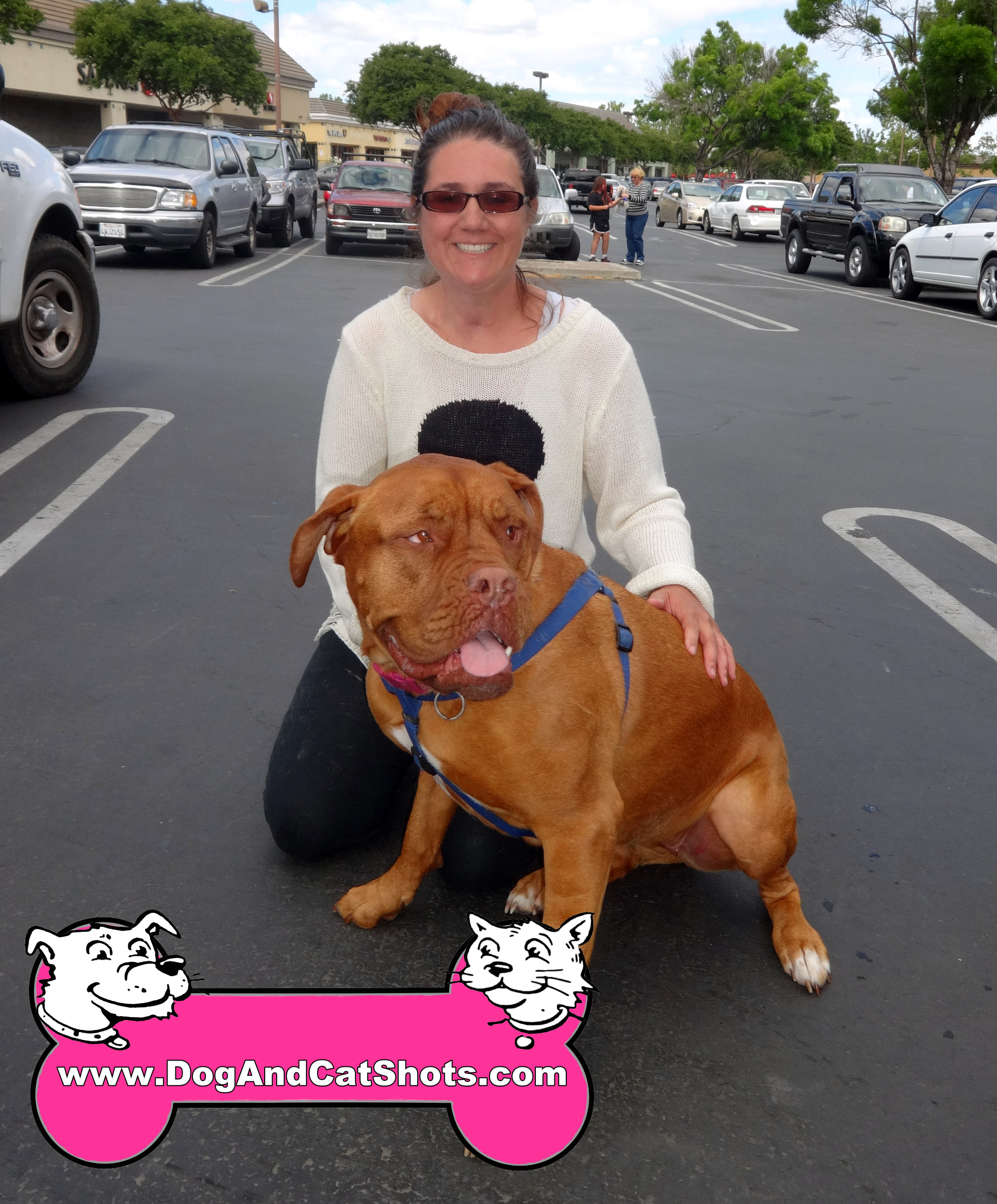 Can A Dogue De Bordeaux Live With A Cat