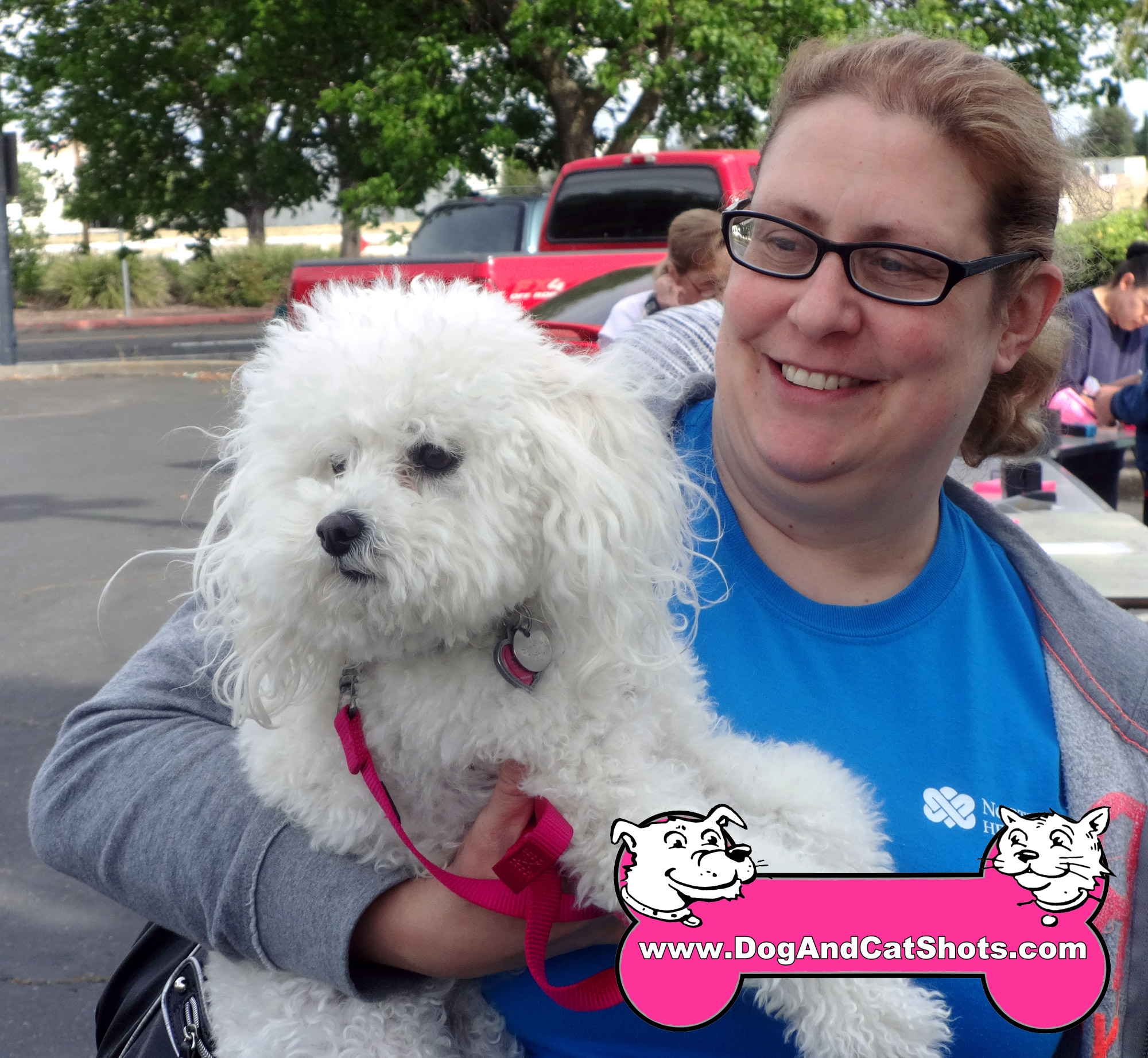 Are Maltipoo Dogs Good With Cats