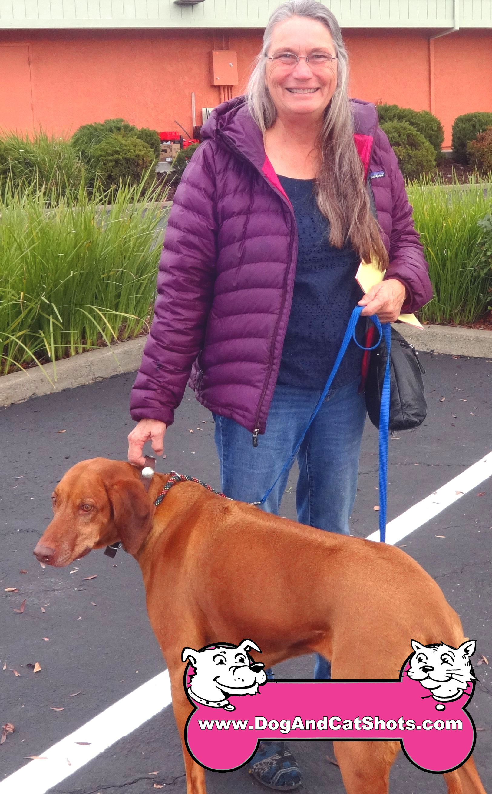 Low Cost Dog and Cat Shots in Northern California Rhodesian Ridgeback ...