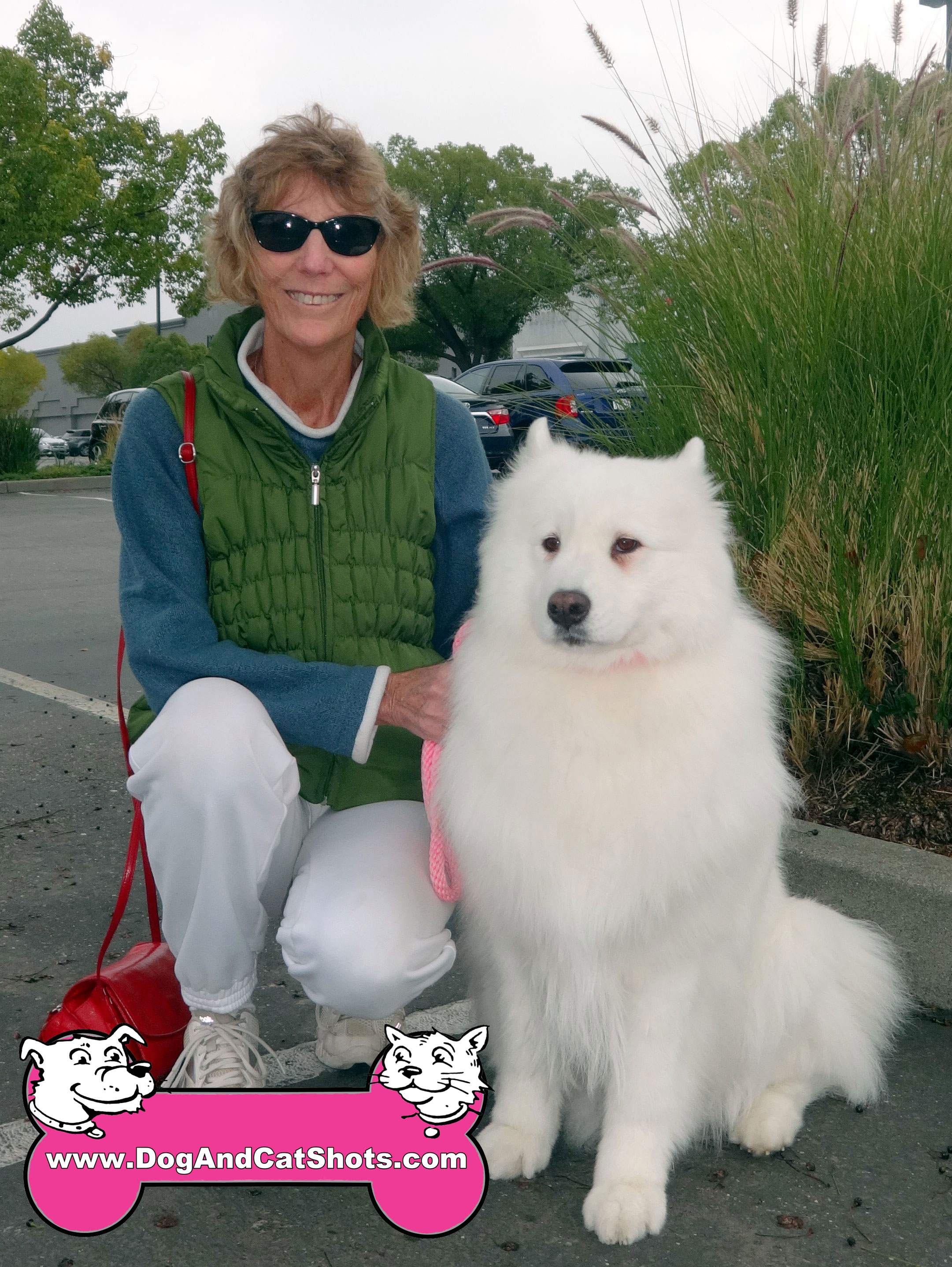 Low Cost Dog and Cat Shots in Northern California Samoyed Archives ...