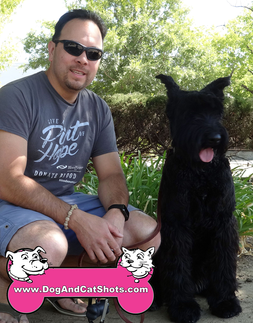 Giant Schnauzer Size Comparison